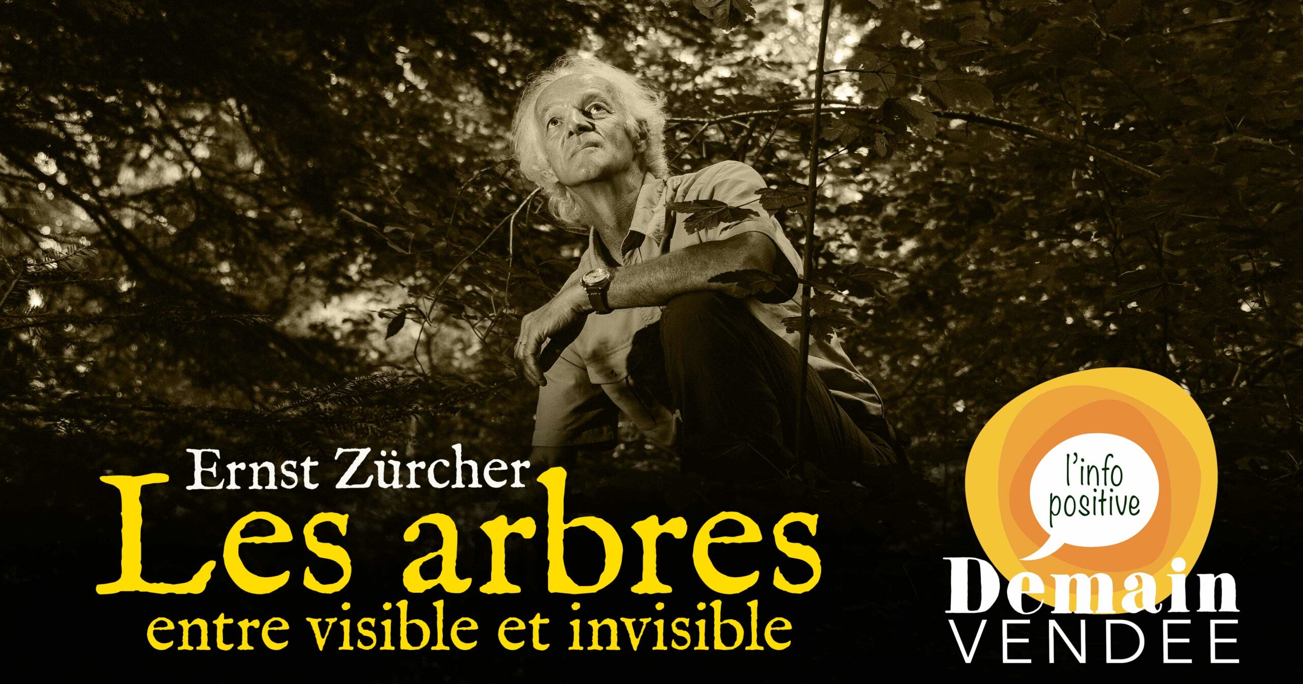 Avec les arbres, Ernst Zürcher nous plonge au cœur du vivant entre ...