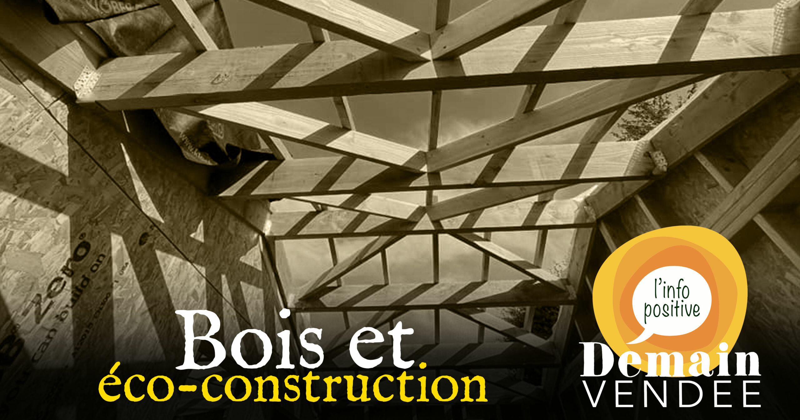 Bois et éco-construction : rencontre avec Sylvain Métais, artisan menuisier et fondateur d'Eco ...