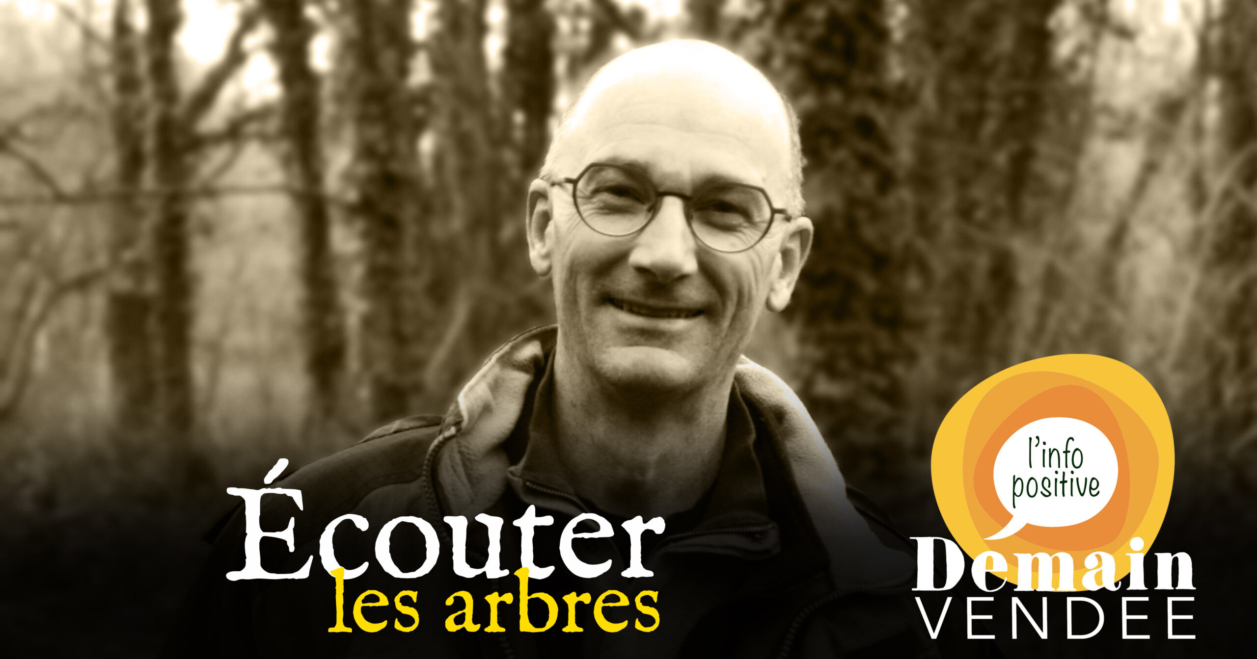 À l'écoute des arbres, Thierry Gain organise des balades en forêt ...